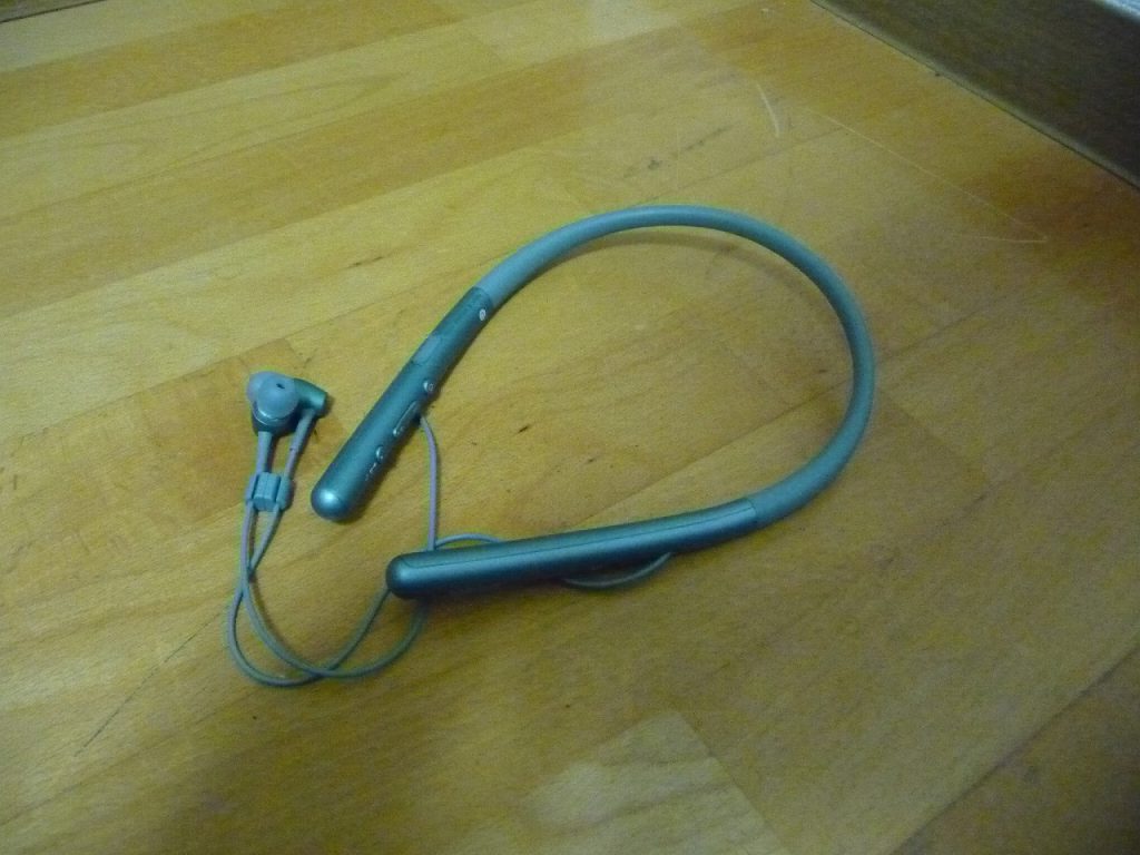 ヘッドフォン SONY WI-H700 GM h.ear in 2 Wireless Bluetooth ソニー ワイヤレス ハイレゾ カナル ...